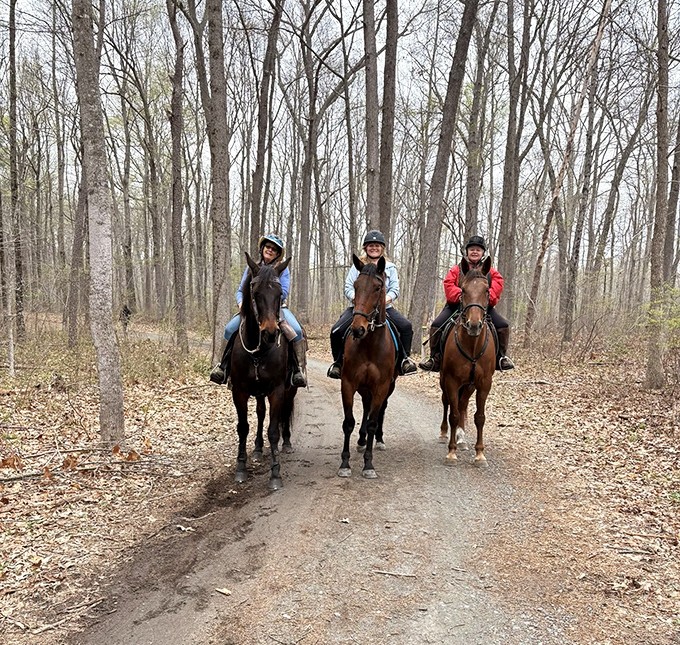 Three equestrians enjoying Delaware's version of a horseback highway. The trail's multi-use design welcomes riders of all experience levels.