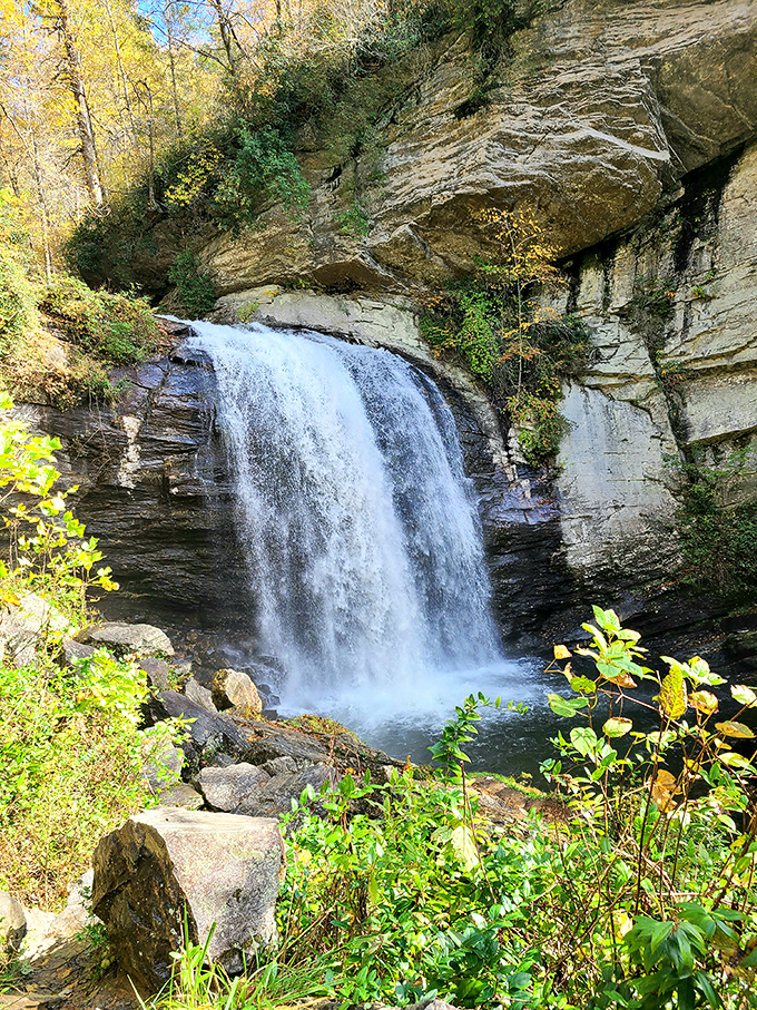 Mother Nature showing off with this waterfall, creating the kind of view that makes you forget your phone exists for a blissful moment.