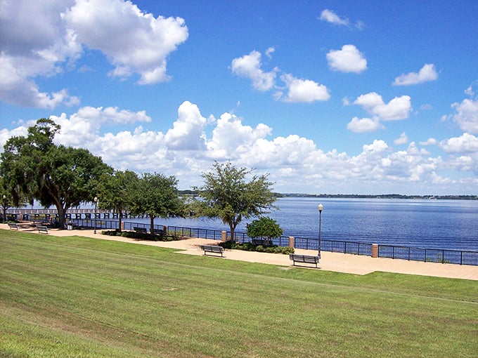Lake Minneola's waterfront offers the serenity of oceanside living without the salt, sharks, or overpriced beach chairs. Nature's therapy session, Florida-style.