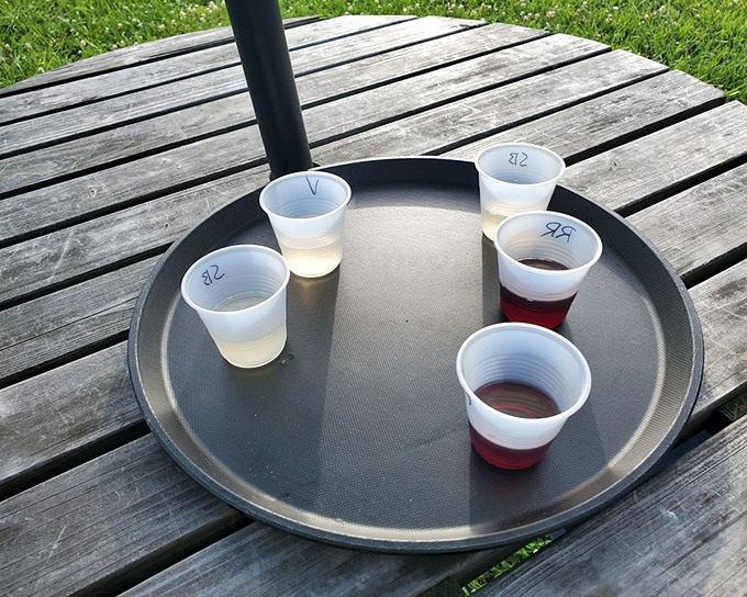 Wine flights arrive like liquid jewels in humble plastic cups&mdash;proof that extraordinary experiences don't always require fancy packaging.