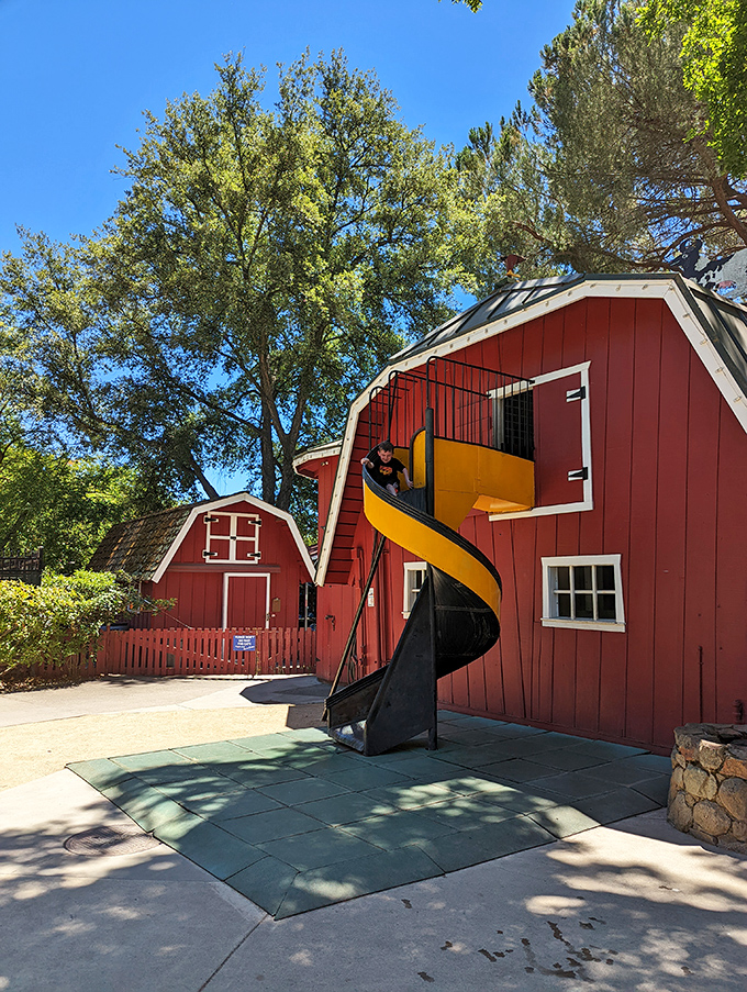 Old MacDonald had nothing on these charming red barn structures, complete with a twisty slide that makes farm chores look suspiciously fun.