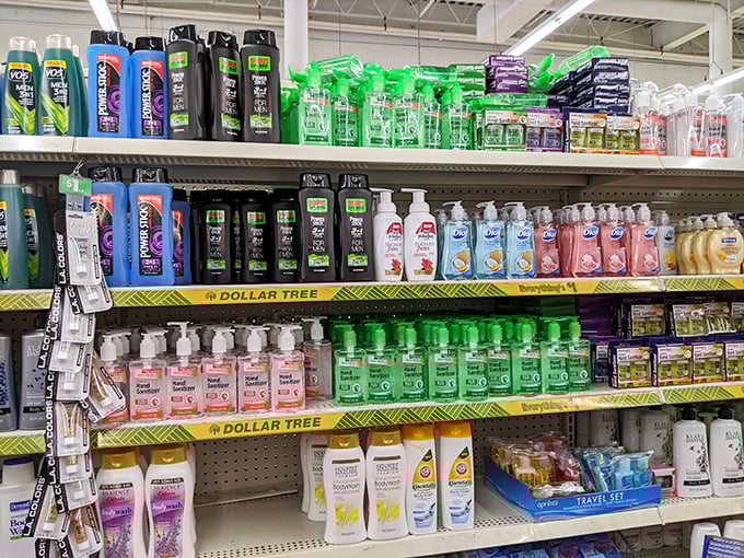 Bath products lined up like soldiers ready for duty. From shampoos to hand sanitizers, your personal hygiene army awaits recruitment at pocket-change prices.