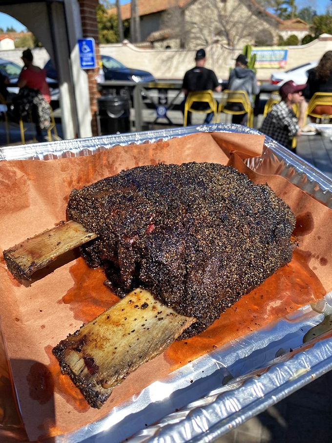 Behold the prehistoric pleasure of beef ribs! This pepper-crusted behemoth could make Fred Flintstone weep with carnivorous joy.