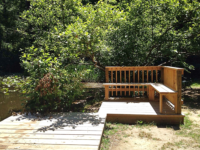 This wooden deck overlooking the water is nature's front-row seat &ndash; no tickets required, just bring your thoughts and stay awhile.