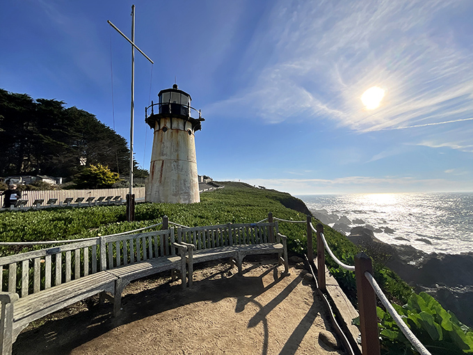 Nature's front-row seats to the Pacific's greatest show. These benches have witnessed more romantic moments and existential contemplations than a season of The Bachelor.