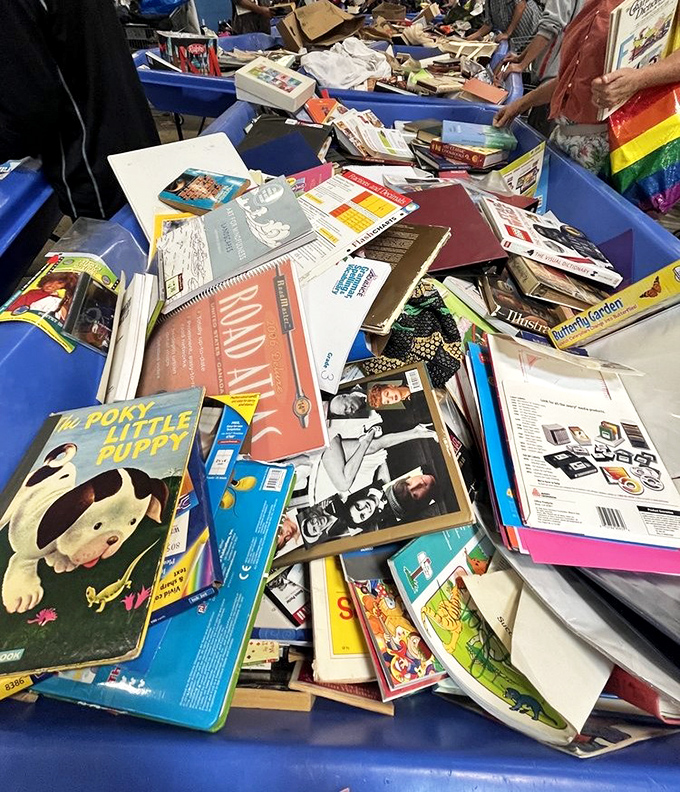 Literary treasures await at rock-bottom prices. Spot that vintage children's book peeking out? Someone's childhood memory is about to become your bookshelf's newest resident.