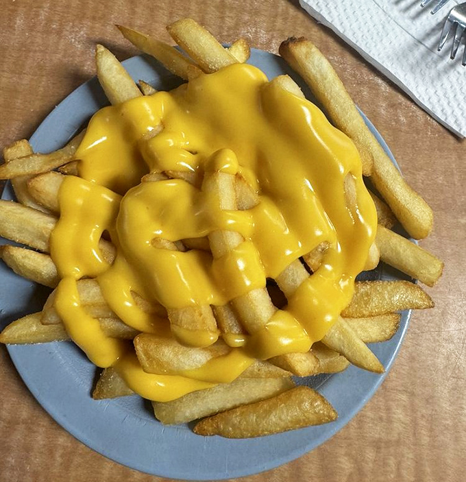 Cheese fries that don't apologize for being exactly what they are: a golden, gooey masterpiece that makes kale salads weep with inadequacy.