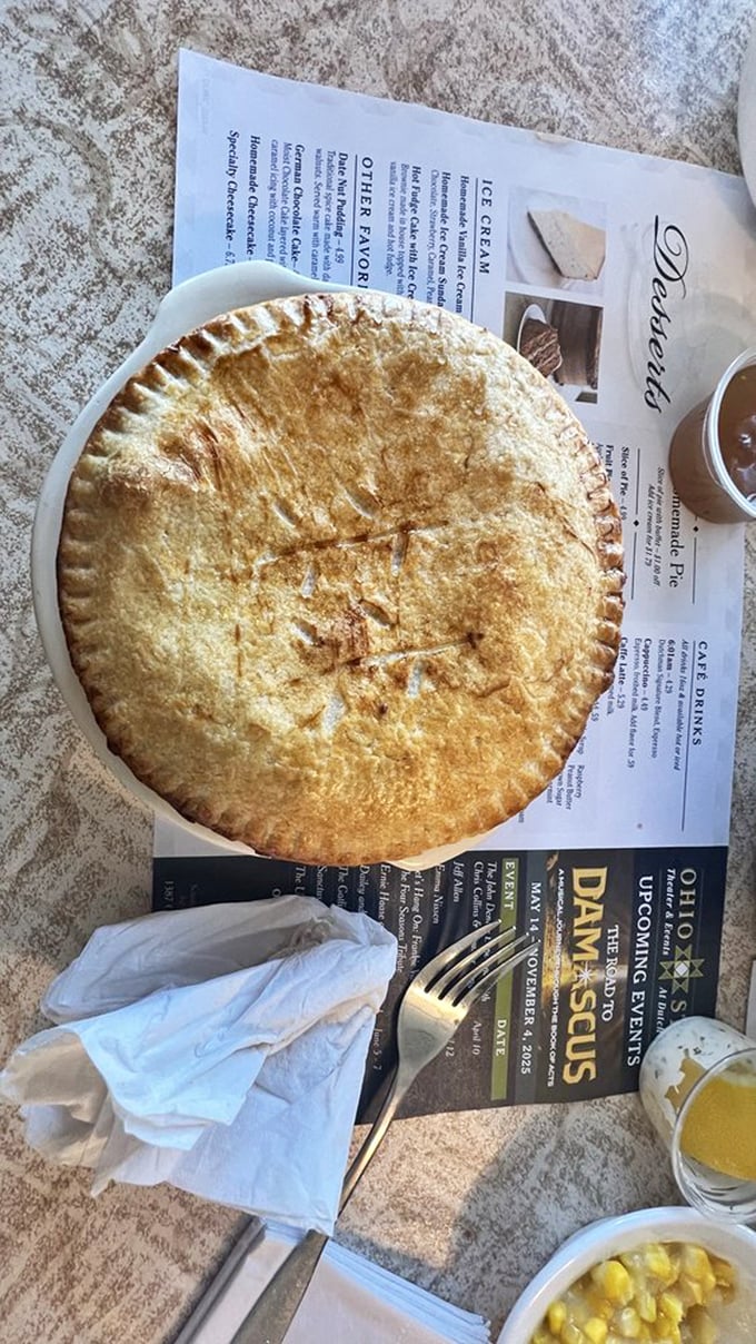 Golden-crusted chicken pot pie that doesn't just warm your stomach but somehow manages to retroactively improve your childhood memories.
