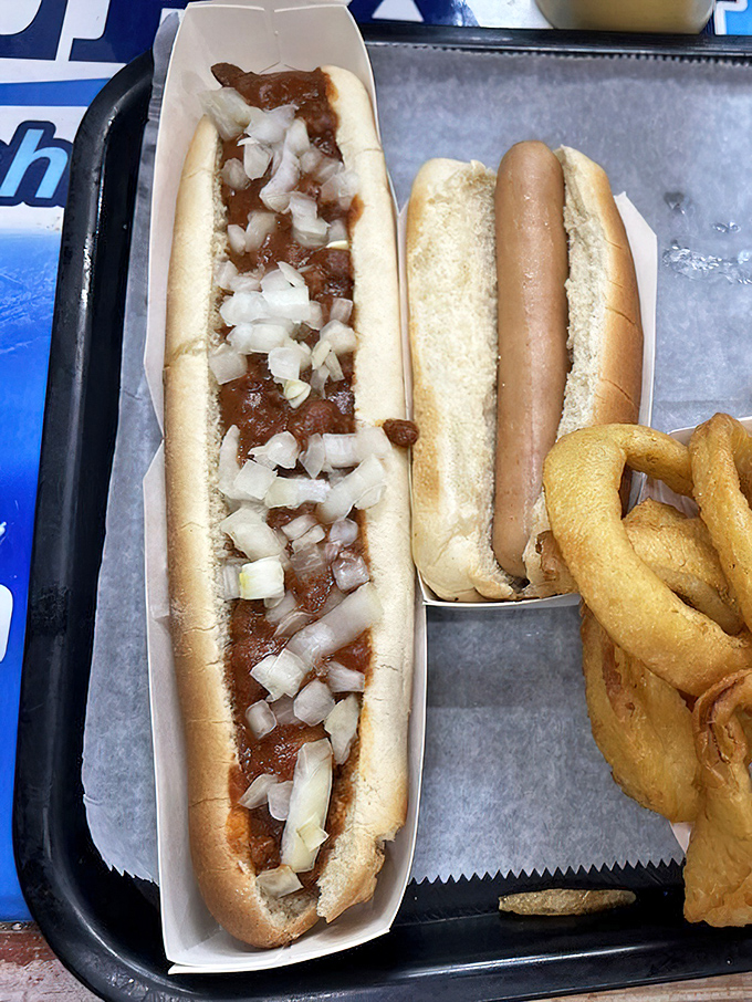 The star of the show in all its glory. That perfect ratio of chili to onions makes this hot dog worth driving across county lines for.
