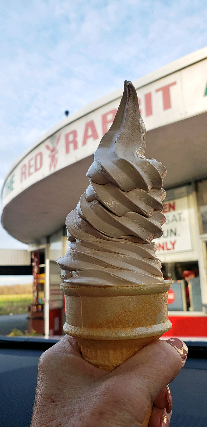 That perfect spiral of soft-serve magic against the Red Rabbit backdrop—like the architectural equivalent of a hug for your taste buds.