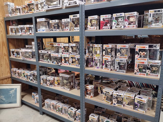 Pop culture immortalized in plastic! Modern collectibles share space with vintage treasures, proving nostalgia isn't just for the distant past.