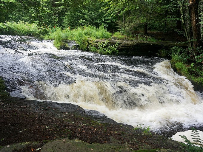 Nature's own whitewater adventure! After a good rain, the park's streams transform into frothy, bubbling pathways through the forest.
