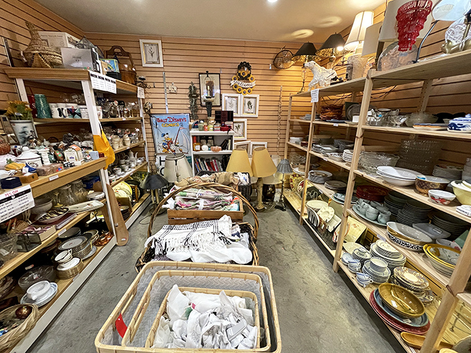 Organized chaos meets retail therapy in this wonderland where every shelf promises unexpected treasures waiting.