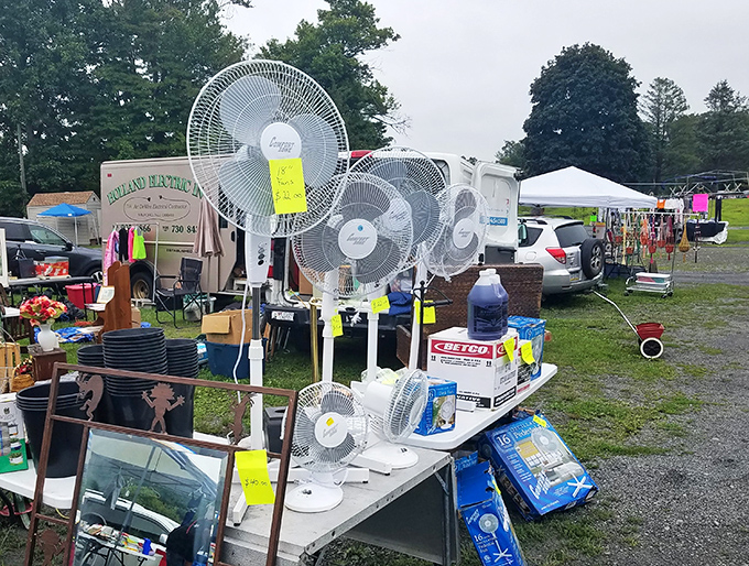 Summer's secret weapon: a battalion of electric fans standing at attention, ready to rescue overheated homes from Pennsylvania's humid embrace.