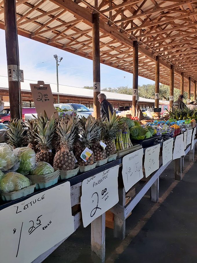 Nature's bounty lined up with military precision. Fresh pineapples stand at attention next to leafy greens, waiting for your kitchen to call them to duty.