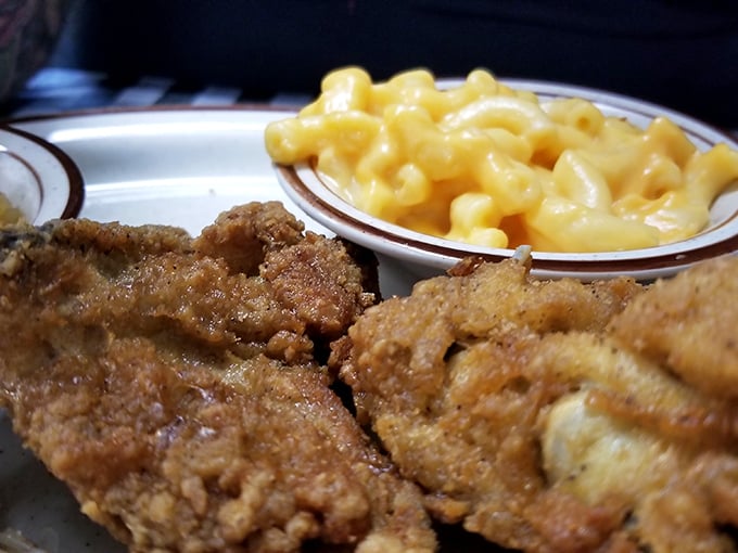 Golden-fried chicken that crackles with each bite, paired with mac and cheese so yellow it could direct traffic. Southern comfort on a plate.