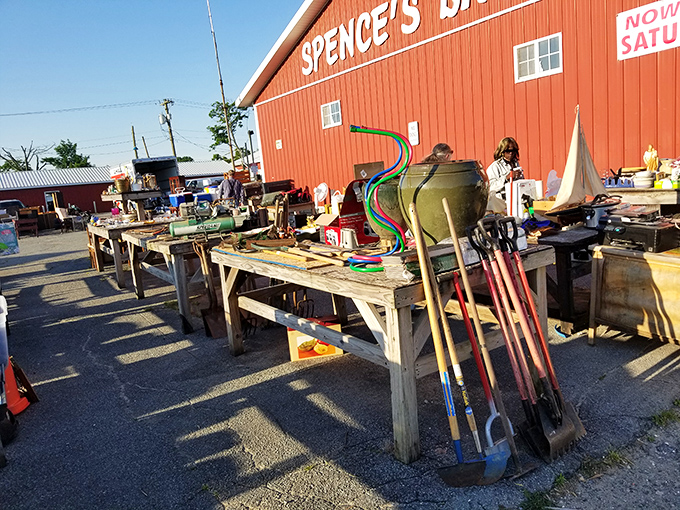 Garden tools arranged like a hardware store time capsule - everything needed to tame your backyard wilderness.