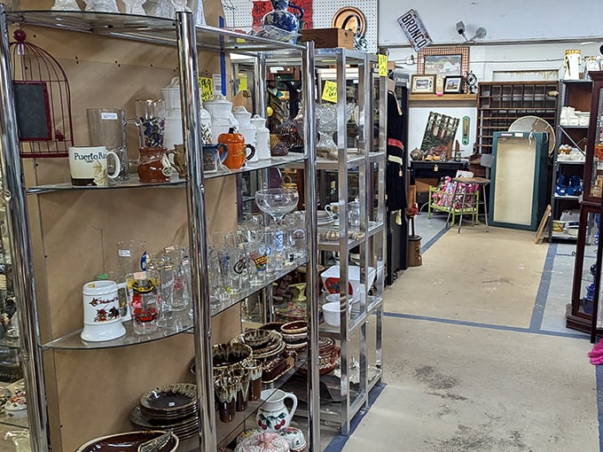 Glass menagerie meets bargain hunter's paradise. Shelves of crystal, ceramics, and collectibles sparkle under fluorescent lights, each piece awaiting its second life.