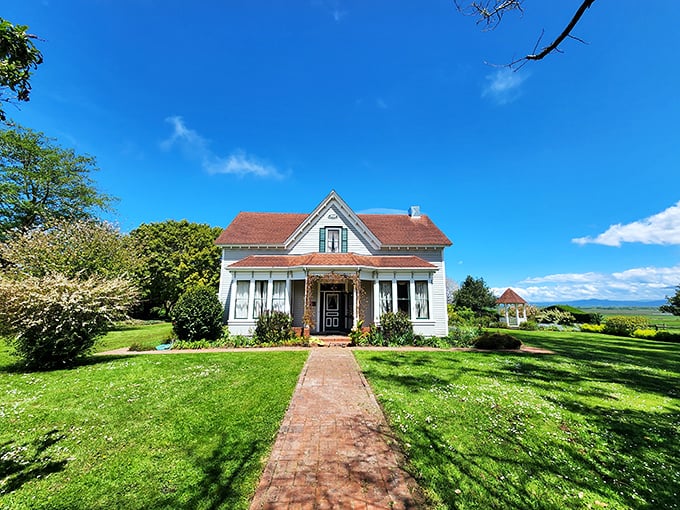 This quintessential Victorian farmhouse stands as testament to Ferndale's agricultural roots, complete with white picket fence and gardens that would make Martha Stewart swoon.