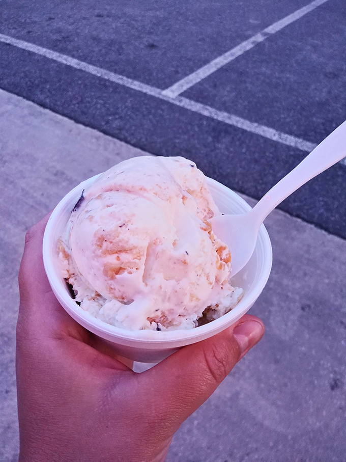 Summer simplicity in a cup. This peachy-pink scoop isn't just ice cream; it's a time machine to childhood afternoons when nothing mattered except the race against melting.