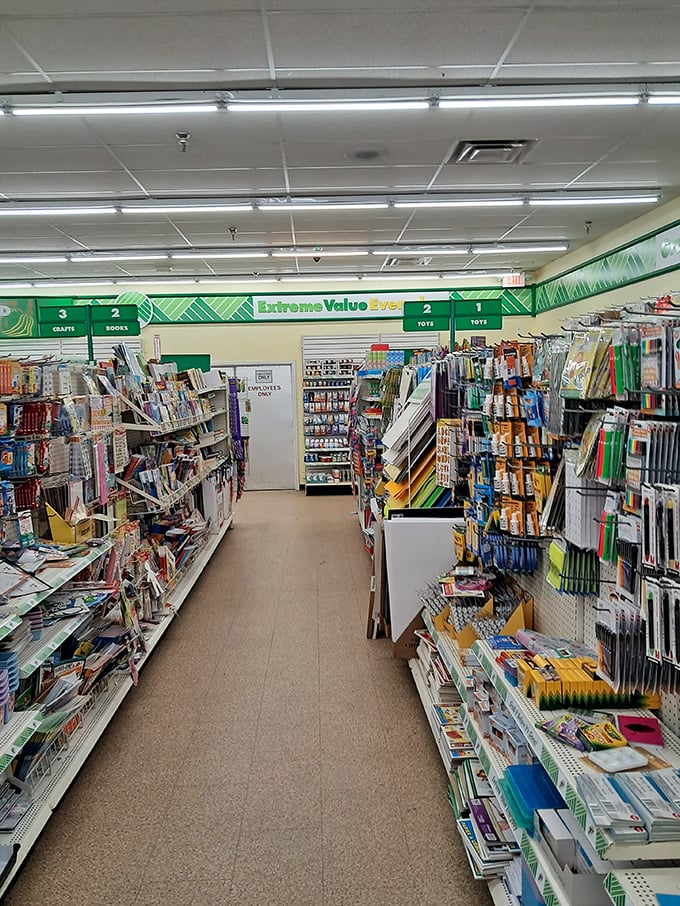 Office supplies and craft materials stretch toward the horizon, a wonderland for teachers, students, and Pinterest dreamers alike.