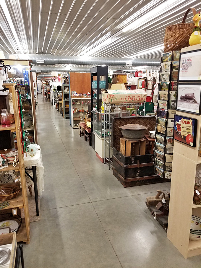 Americana stretches as far as the eye can see – from vintage kitchenware to forgotten toys, each aisle a different chapter of our collective past.