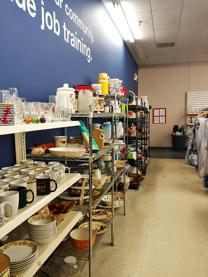 Vintage Pyrex and forgotten kitchen gadgets line these shelves. One person's "I never use this" becomes another's "I've been searching everywhere!"