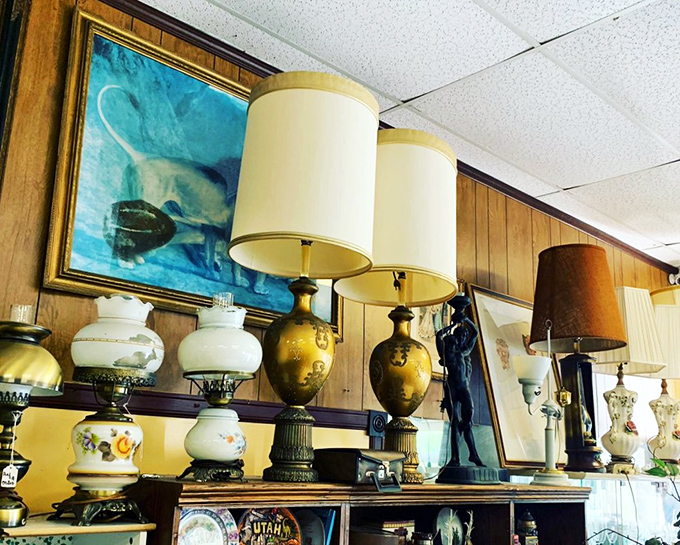 From elegant table lamps to quirky vintage fixtures, the lighting section illuminates possibilities for every home decorator's dreams.