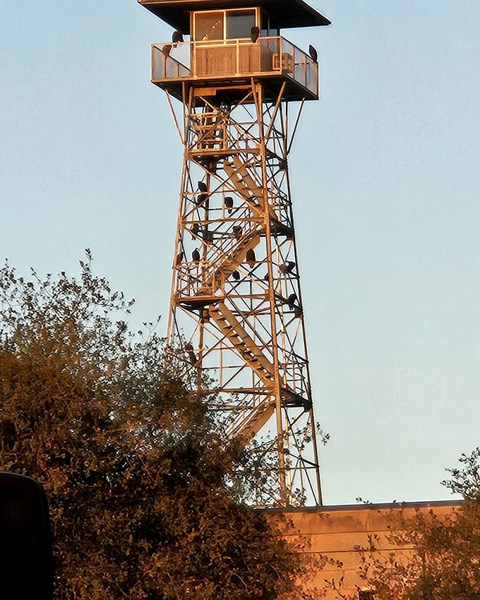 This watchtower wasn't just for show&mdash;it served as a constant reminder to residents that freedom was visible but just out of reach, a psychological barrier as effective as any wall.