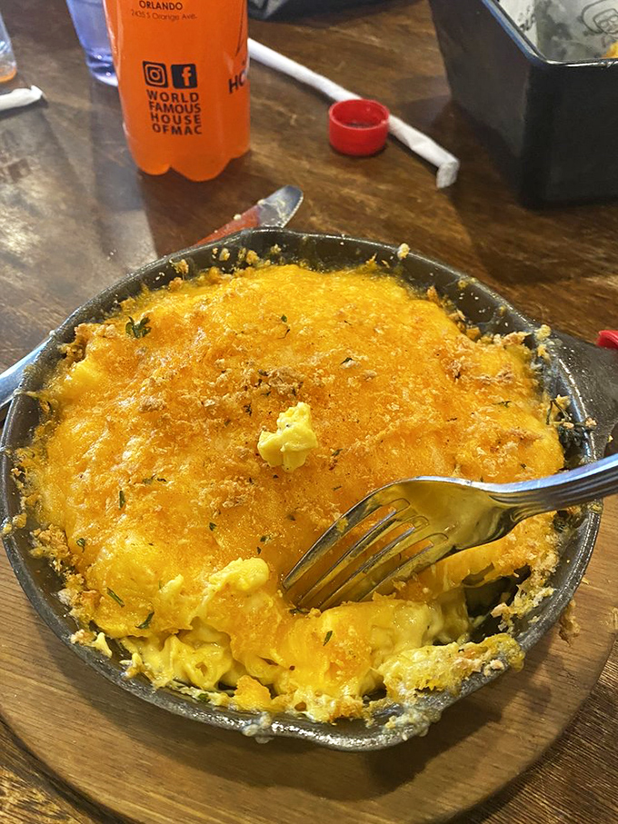 Molten cheese perfection that makes you wonder why you ever settled for the blue box stuff as a kid.