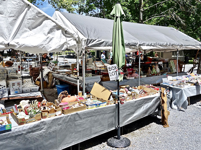 Box lot paradise under canvas canopies. The thrill isn't knowing what you'll find&mdash;it's discovering what you never knew you needed.