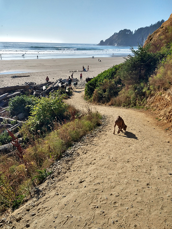 The final steps of anticipation – this sun-dappled trail delivers you to paradise with the promise of sand between your toes.