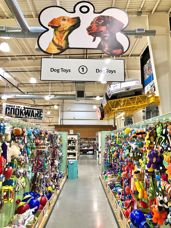 Fido's fantasy land! The pet section is as whimsically organized as the rest of the store, with enough toys to make your four-legged friend forgive you for leaving them home.