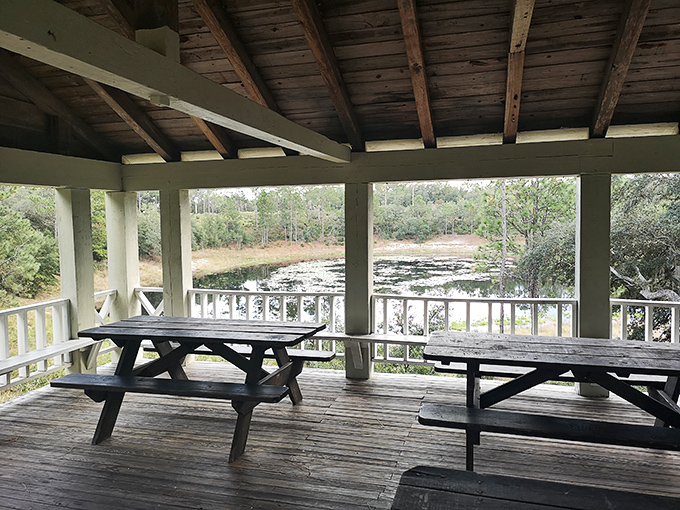 Picnic tables with million-dollar views. The kind of lunch spot that makes PB&J taste like gourmet cuisine.