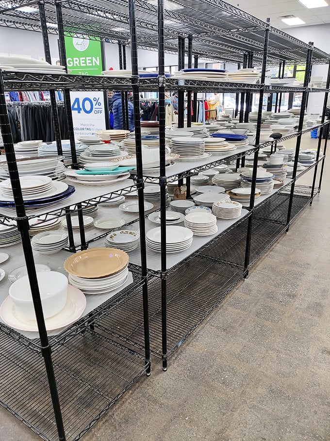 Dish heaven awaits! These stacked plates aren't just tableware&mdash;they're stories waiting to host your next dinner party drama.