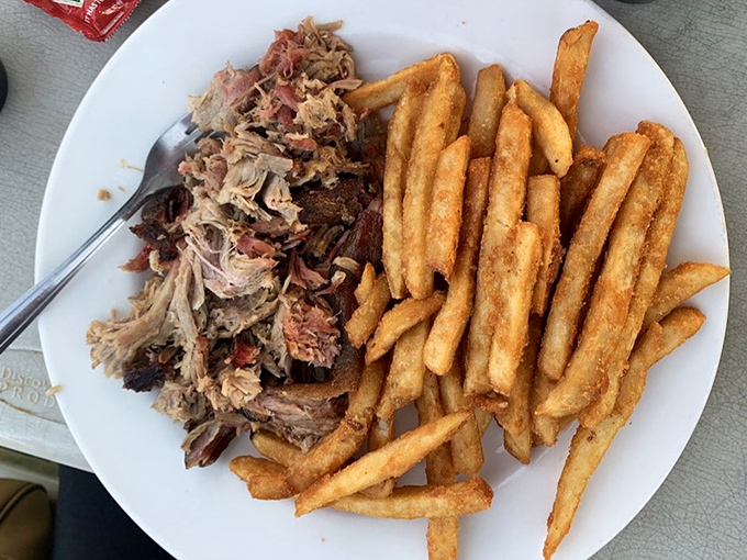 Pulled pork that collapses into strands at the mere suggestion of a fork, paired with fries that crackle with golden perfection.