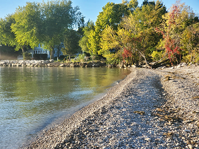 Fall paints Catawba's shoreline in amber and gold, creating a seasonal masterpiece where polished stones meet gentle waves.