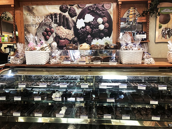 The chocolate shop display case&mdash;where diets go to die and "I'll just have one sample" becomes the day's biggest fiction.