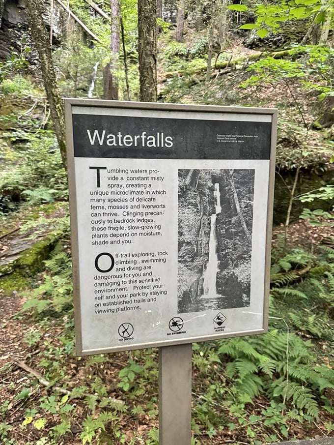 Educational signage transforms your hike into a fascinating lesson about waterfall ecosystems and wildlife.
