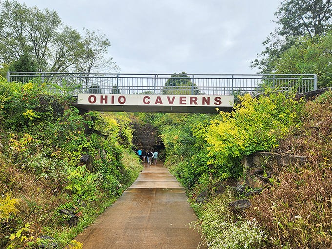 The entrance bridge beckons visitors into another world. It's like the wardrobe to Narnia, except instead of snow, you'll find limestone formations.