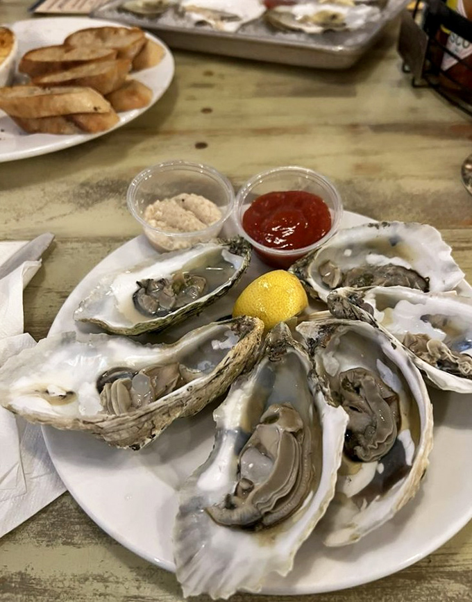 Fresh oysters arrive like briny jewels, each one a perfect slurp of oceanic bliss waiting to happen.