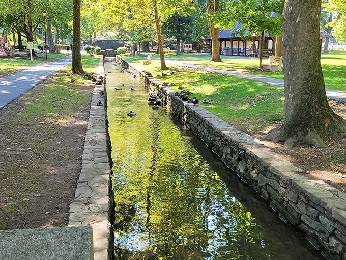 Nature's original air conditioning: a stone-lined stream cutting through Lititz Springs Park, where ducks hold their neighborhood meetings and children still discover the joy of skipping stones.