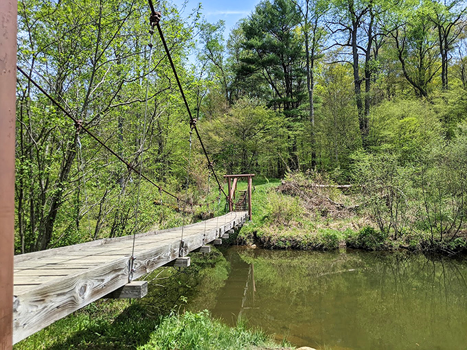 Adventure suspended between two points! This charming footbridge might as well be labeled "perfect spot for contemplating life's big questions."