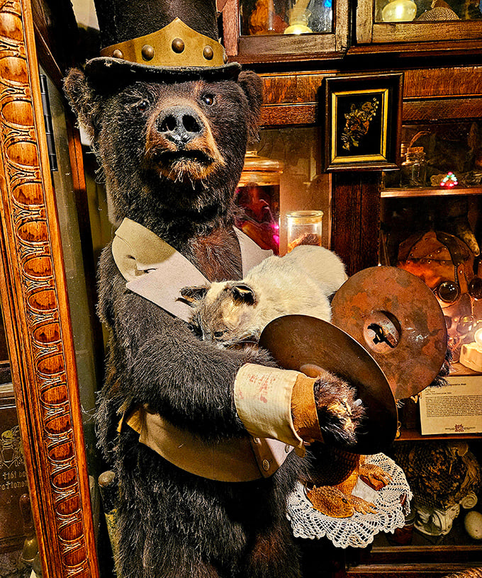 The distinguished gentleman of the house wears his formal attire with pride. Even taxidermied bears understand the importance of dressing for dinner!