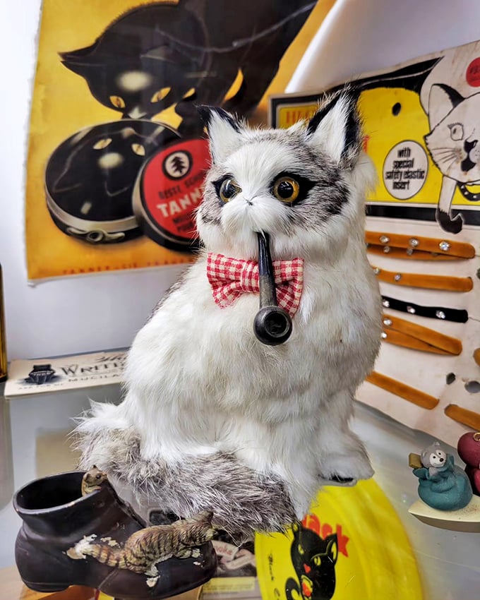 This dapper pipe-smoking kitty with its checkered bow tie might be the most distinguished cat gentleman I've ever encountered.