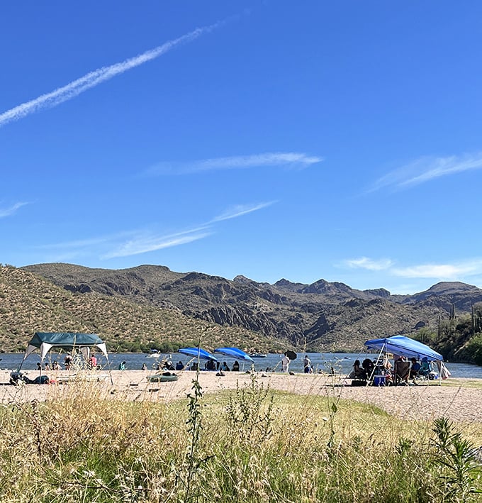 Beach day, Arizona-style: pop-up tents creating islands of shade while the Superstition Mountains stand guard. Vacation mode: activated.