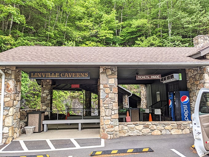 The rustic stone entrance building serves as the portal between everyday North Carolina and an underground realm of geological marvels.