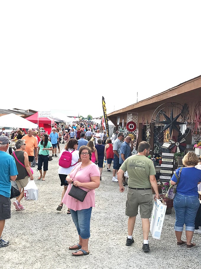 The market's pathways become rivers of shoppers, flowing between stalls where modern visitors and traditional Amish vendors create a unique cultural confluence.
