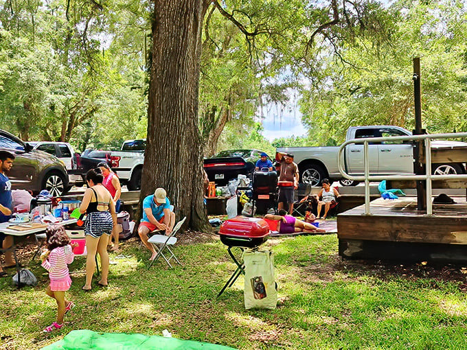 Family picnic paradise! Where memories are made between dips in nature's swimming pool and bites of sandwiches that always taste better outdoors.