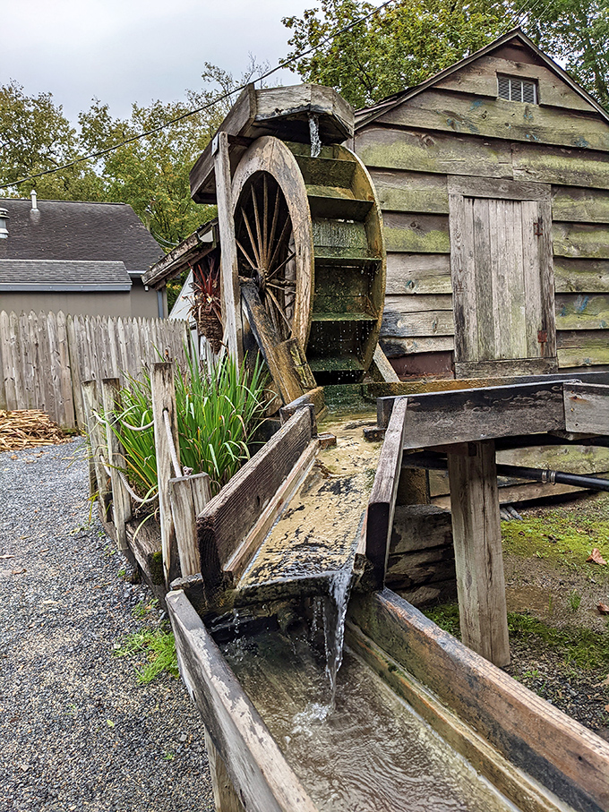 This charming watermill on the property reminds visitors that human ingenuity and natural beauty have coexisted here for generations.